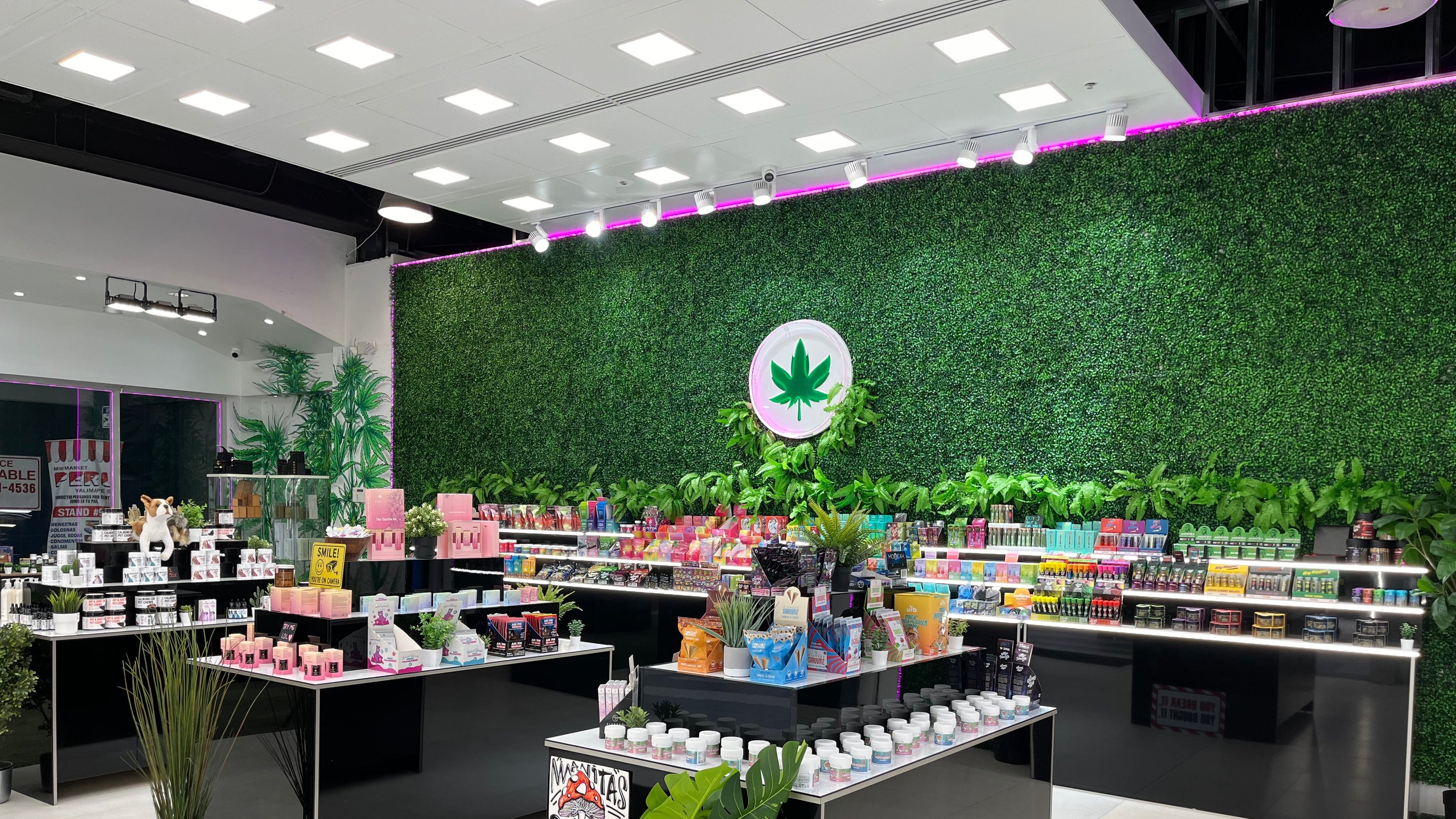 Alter Native Express – AlterNative Express